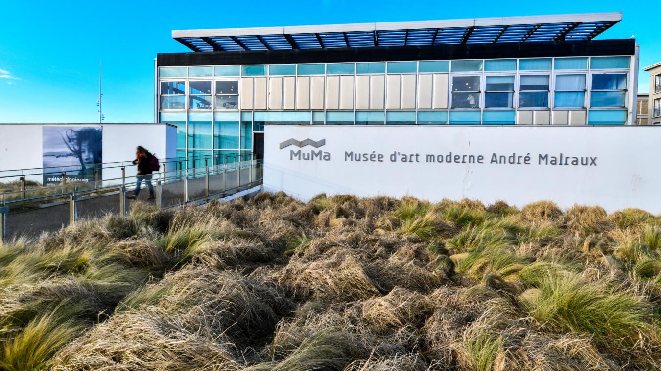 Comment le MuMa du Havre s’est hissé parmi le top 5 des musées français ...