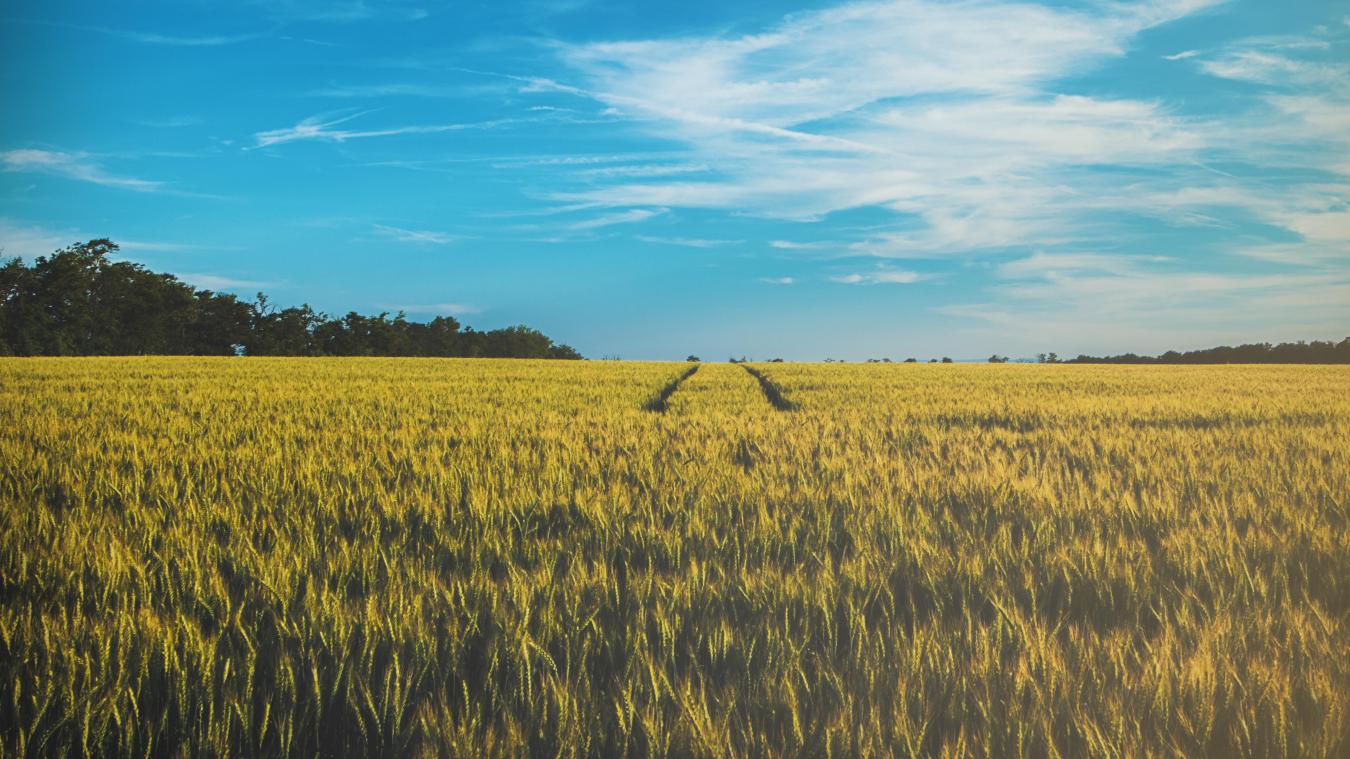 Un bébé mort retrouvé dans un bidon en plastique au bord d’un champs, vers Arras - Nord-Pas-de ...