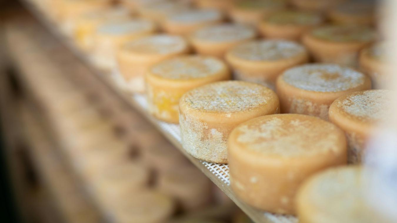 Plusieurs fromages du Nord et Pas-de-Calais rappelés car ils pourraient ...