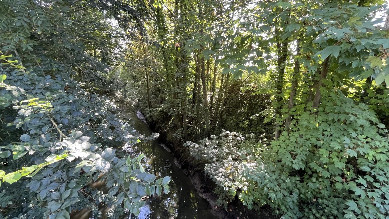 Wormhout et ses environs : la rivière de la Peene Becque polluée, la ...
