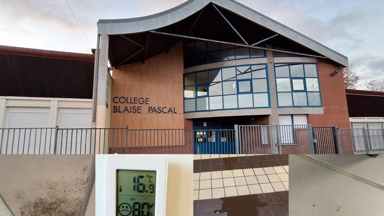 Mazingarbe : rongeurs, asticots, humidité, vétusté… Les enseignants du collège Blaise-Pascal ...