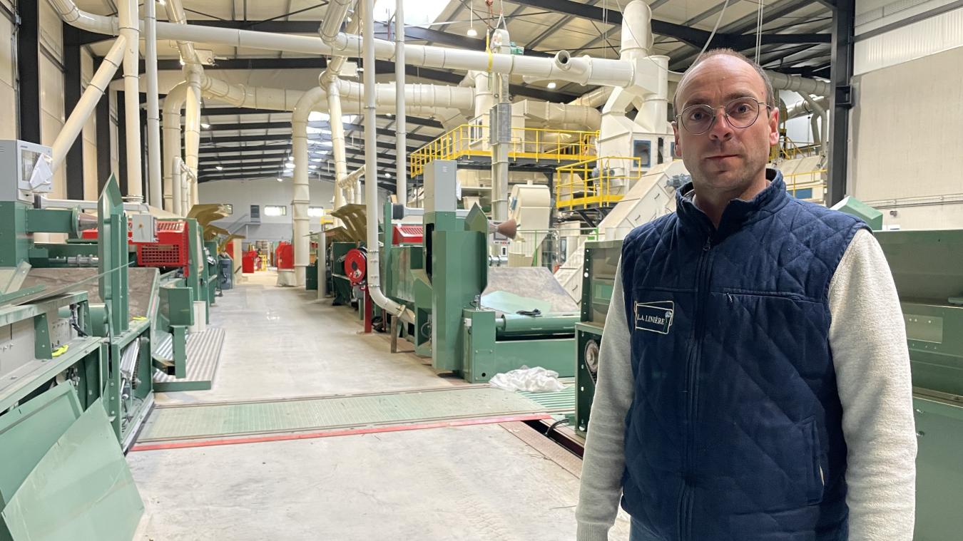 Bourbourg : le marché du lin se développe et la coopérative L.A Linière cherche à recruter - Le ...